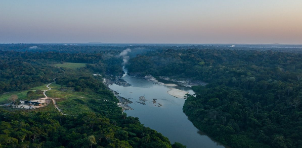 O que é MCO2? Conheça o primeiro token de crédito de carbono. – Foxbit ...